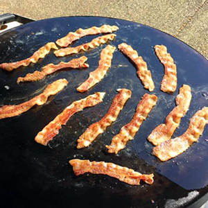 Crispy Evo Bacon - Evo America, LLC - Official Site