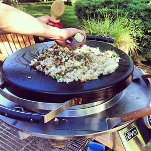 Fried Rice - Evo America, LLC - Official Site